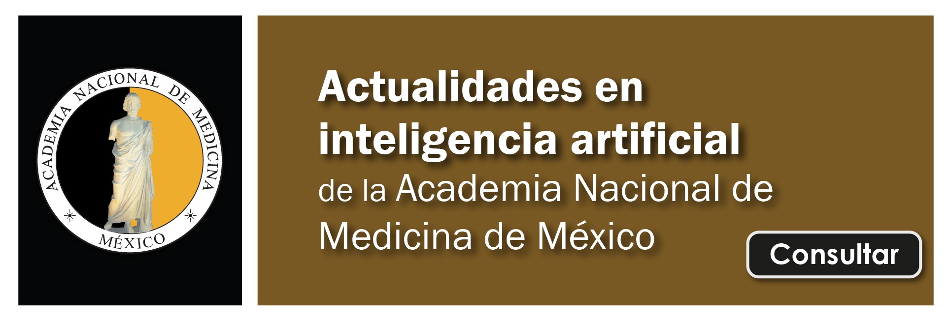 ANMM | Inicio